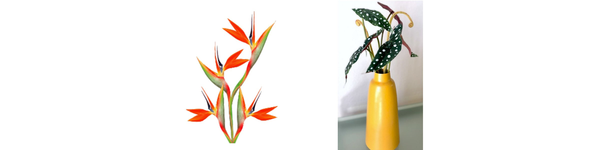 Artificial Flowers, Plants, Stems, and Bouquets – Page 2 – The Chrome Cactus Boutique